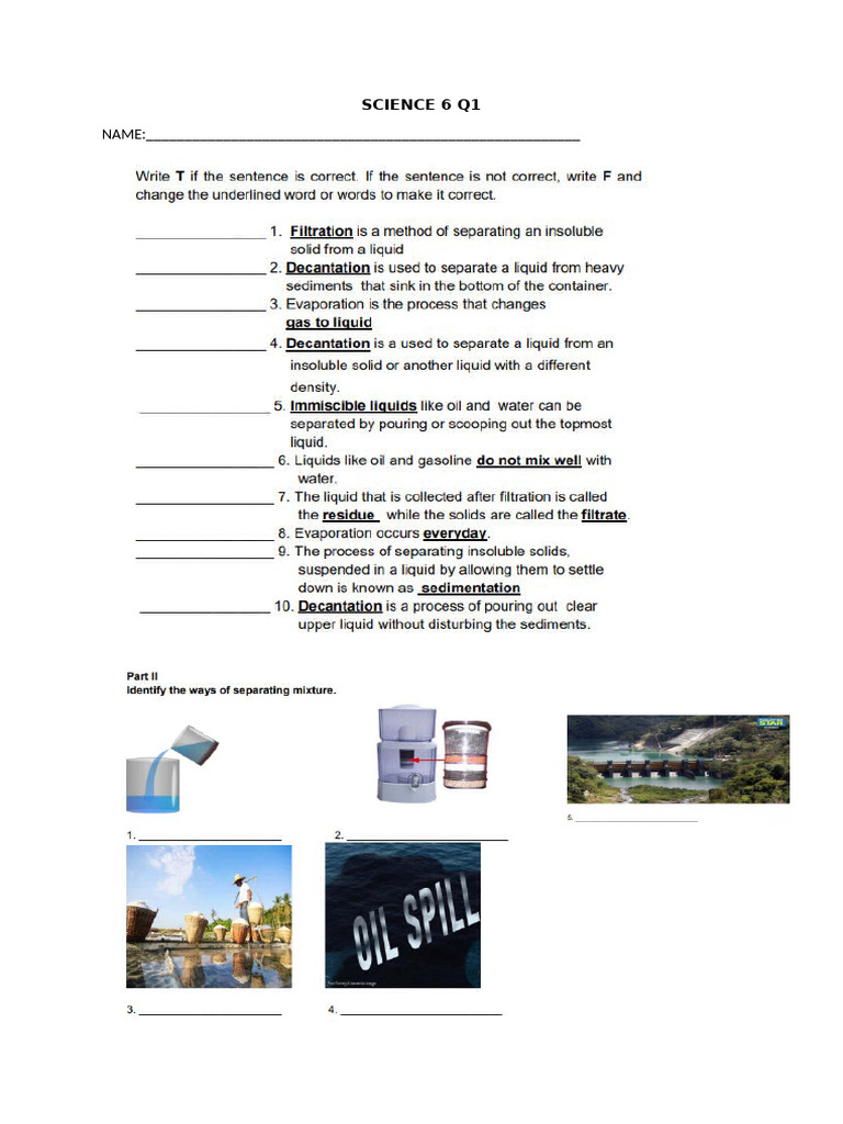 Science 6 Q1 - Activity | PDF