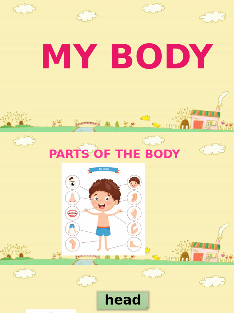 Revision Bodyparts | PDF | Human Anatomy