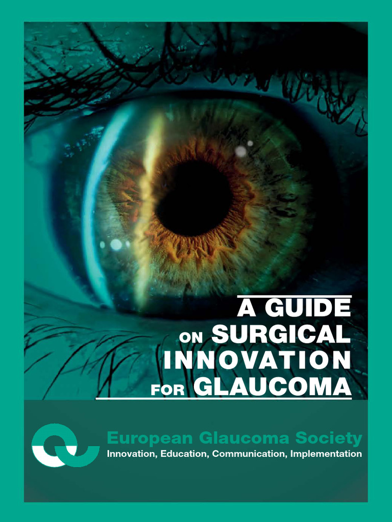 European Glaucoma Society – A guide on surgical innovation for glaucoma | PDF | Surgery | Glaucoma