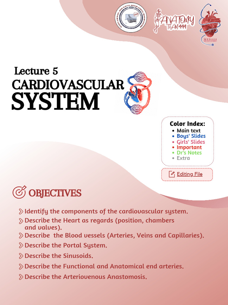 L5 - Introduction to Cardiovascular System | PDF | Vein | Heart Valve