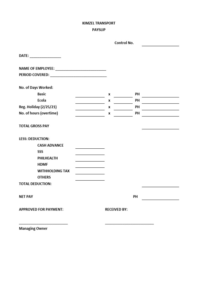 Payslip | PDF