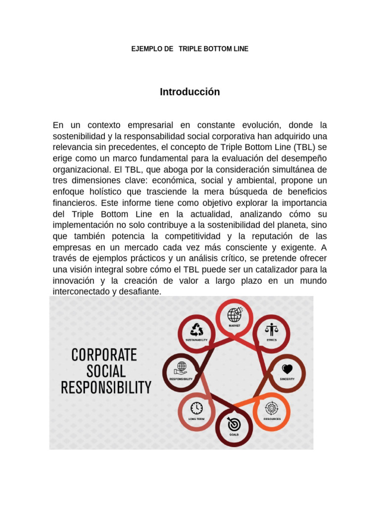 Patagonia y el Triple Bottom Line | PDF | Business | Sustentabilidad