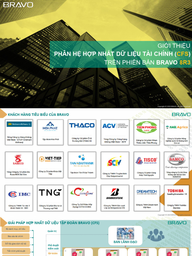 Bravo Phân hệ hợp nhất dữ liệu tài chính | PDF