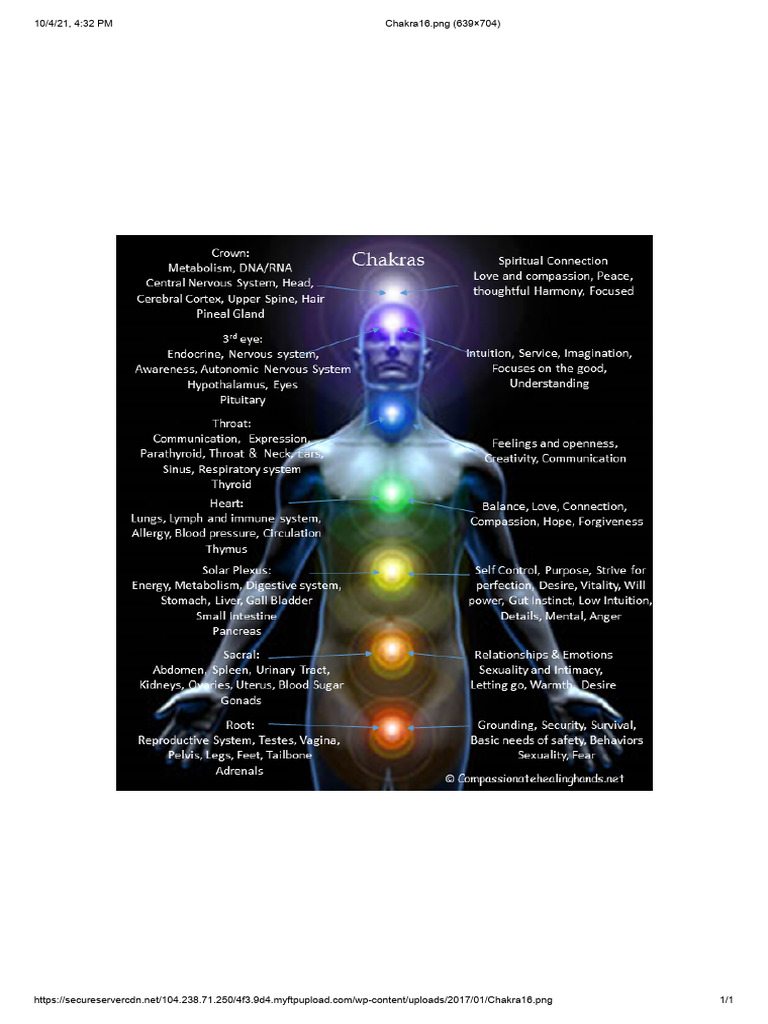 Chakra-Glands, Body Parts Genetics | PDF