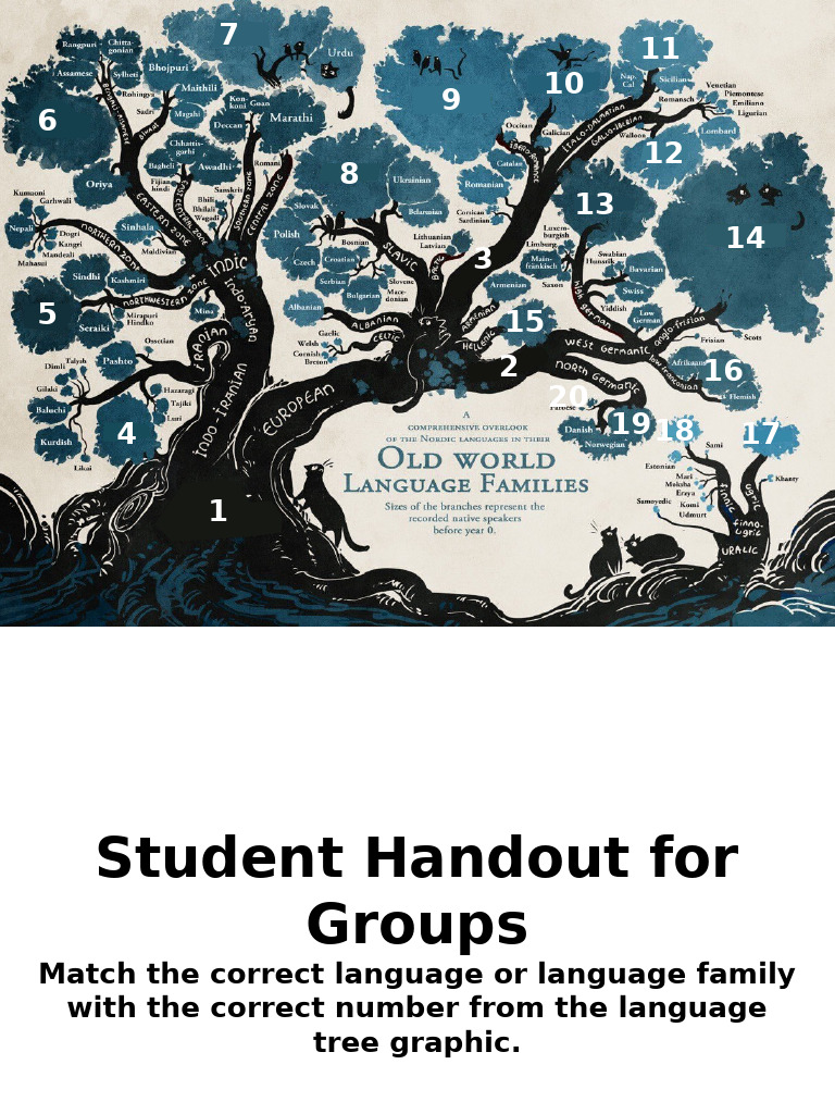 Language Family Matching Activity | PDF