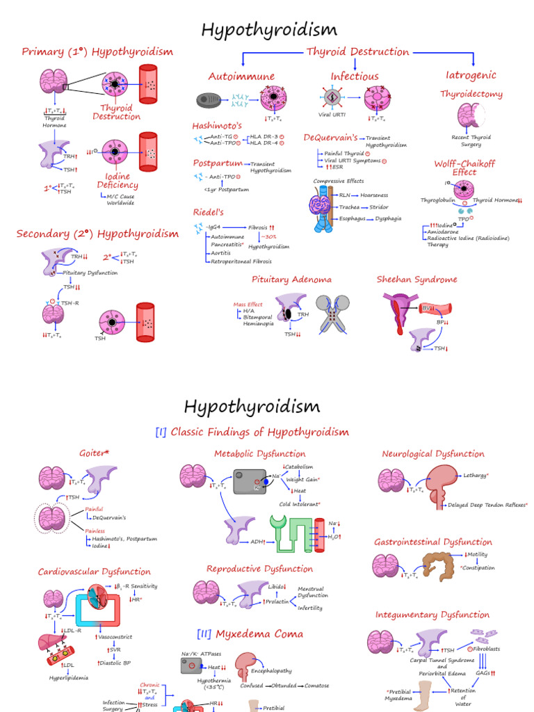 1 - Hypothyroidism (Illustrations Key) | PDF | Hypothyroidism | Thyroid