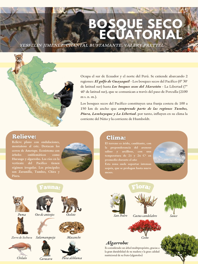 Flora y fauna del bosque seco ecuatorial | PDF | Ciencias de la Tierra ...