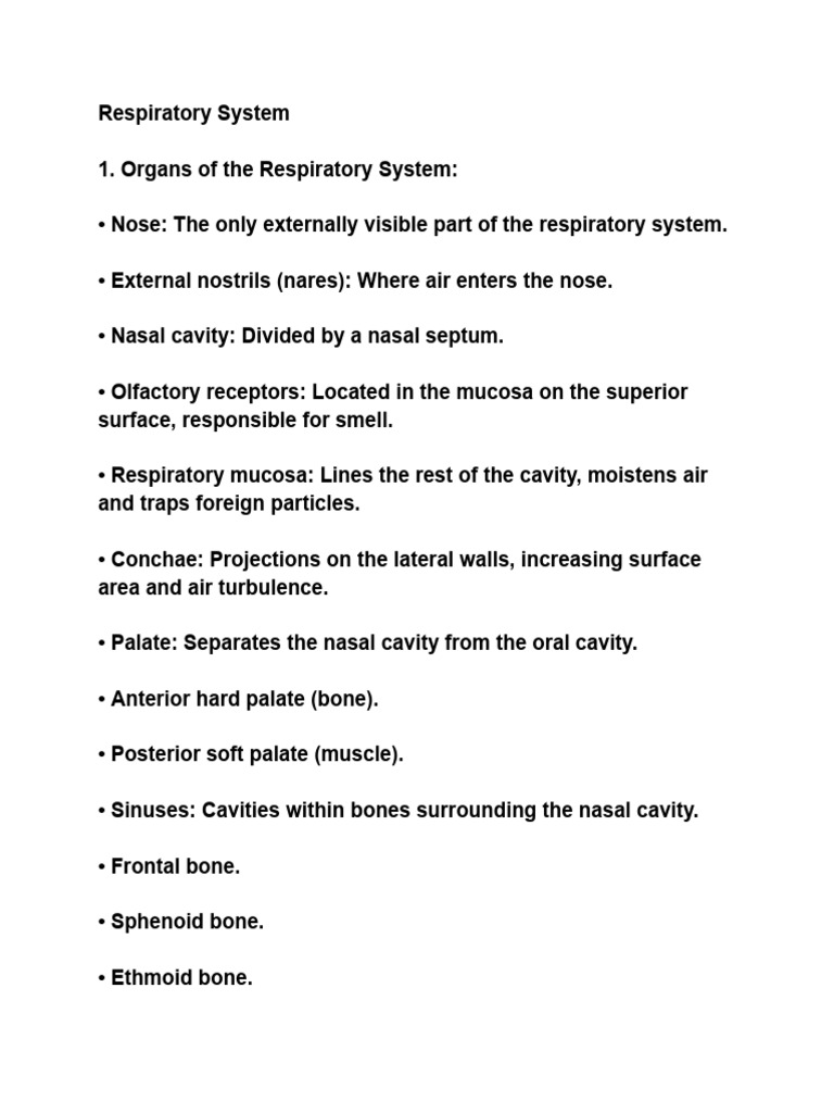 Respiratory System Reviewer | PDF | Lung | Human Nose