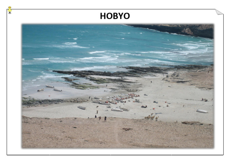 Hobyo | PDF