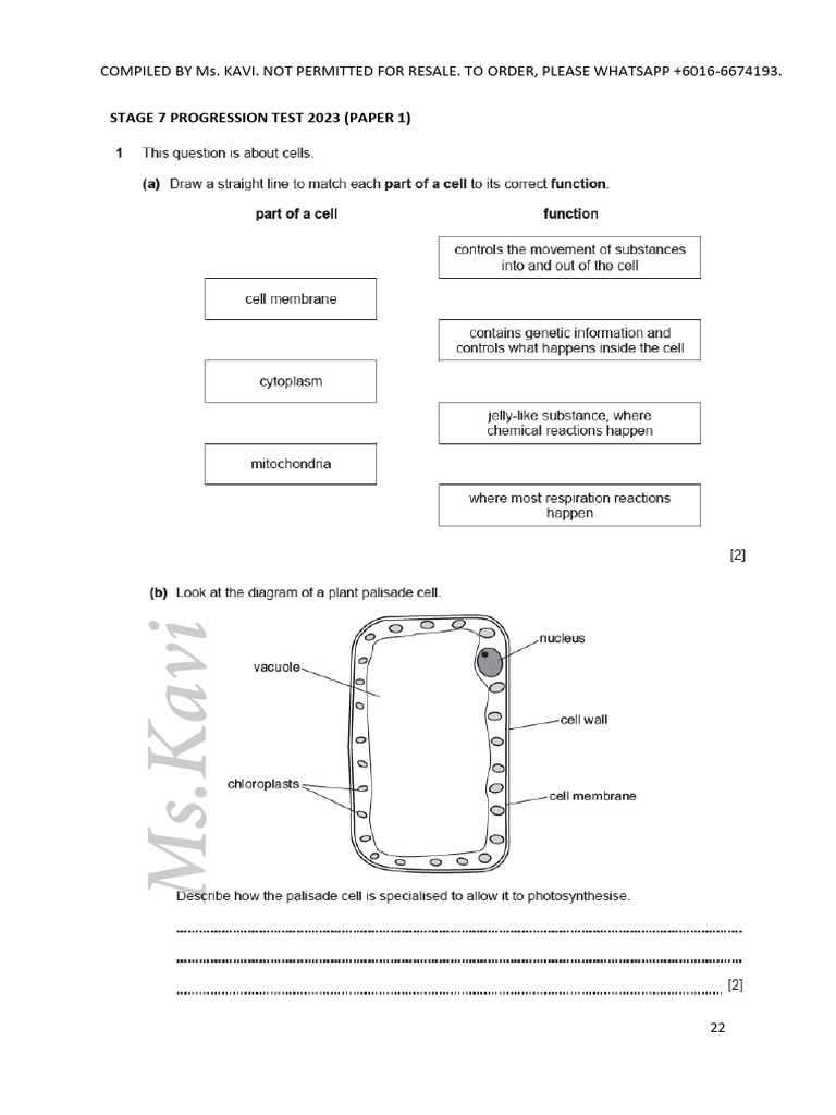 Stage 7-8 Test Papers Compilation | PDF