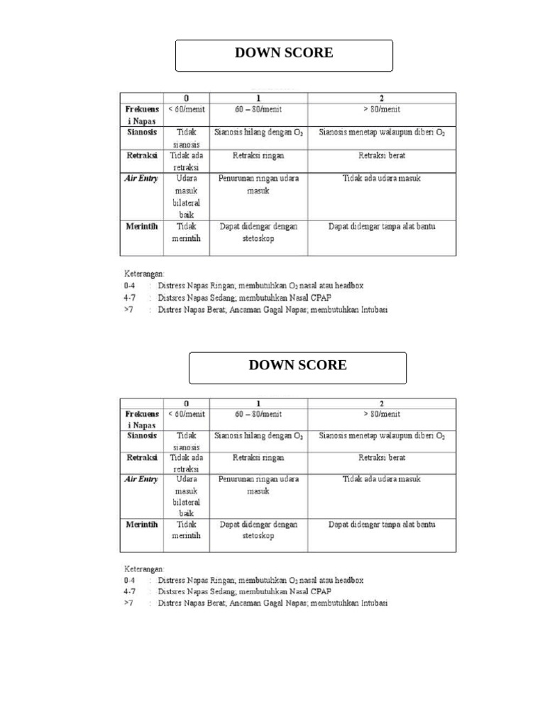 Understanding Down Score Metrics | PDF