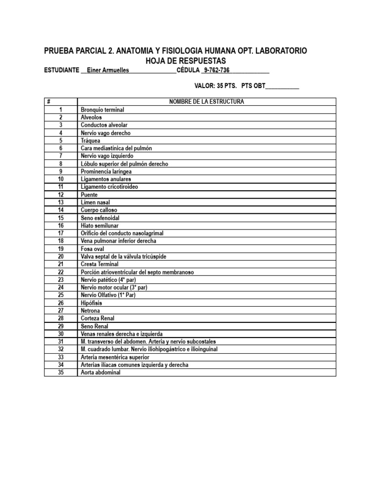 Parcial 2 de Lab-Anatomía | PDF