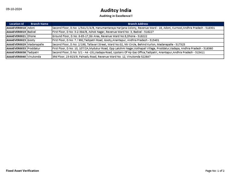 Fixed Asset Audit | PDF