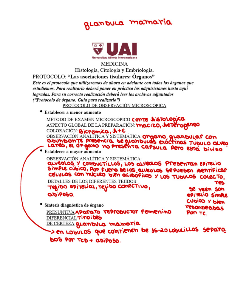 Protocolo de Órgano | PDF