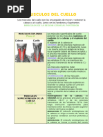 Musculos de La Nuca | PDF | Anatomía humana | Sistema musculoesquelético