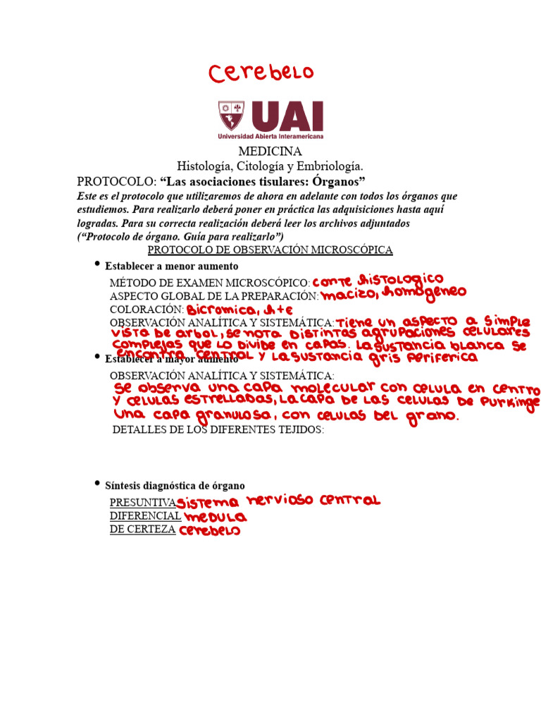 Protocolo de Órgano (2) - 3 (1) 2 | PDF