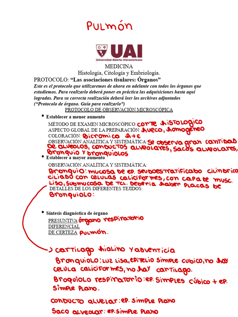 Protocolo de Observación de Órganos | PDF