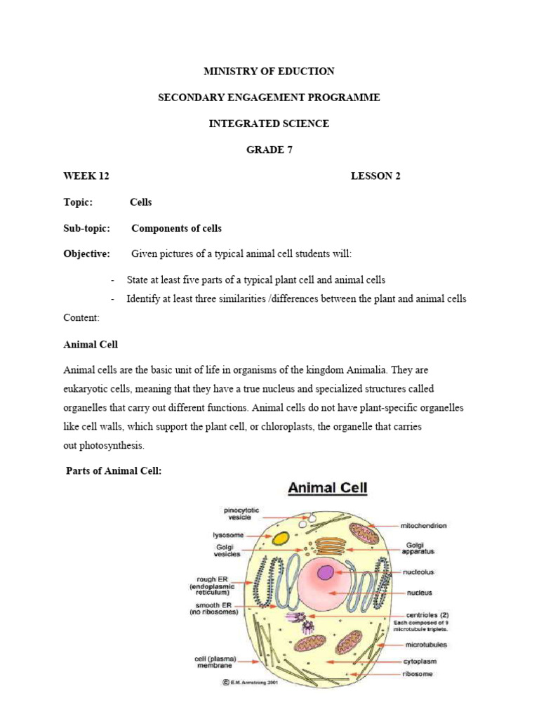 Cells: Animal vs. Plant Cell Components | PDF