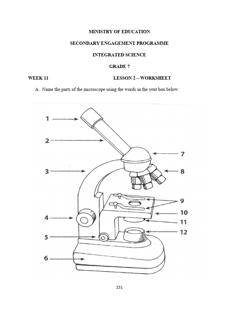Microscope Worksheet | PDF