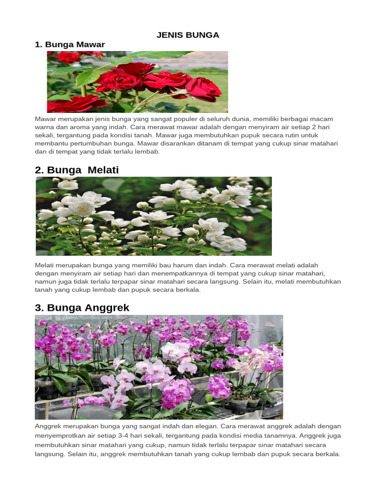 Jenis Bunga | PDF