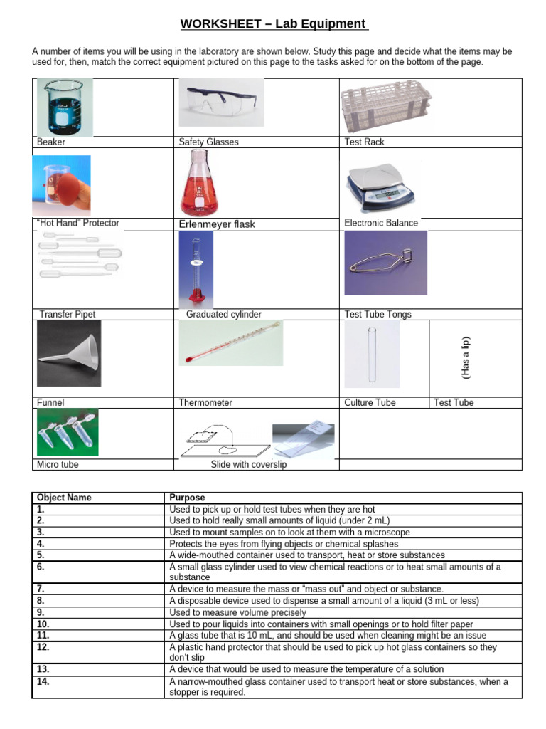 Lab Equipment Work Sheet | PDF