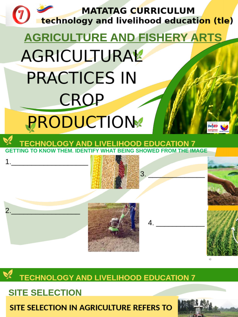 Crop Production Practices for Grade 7 | PDF | Agriculture | Soil
