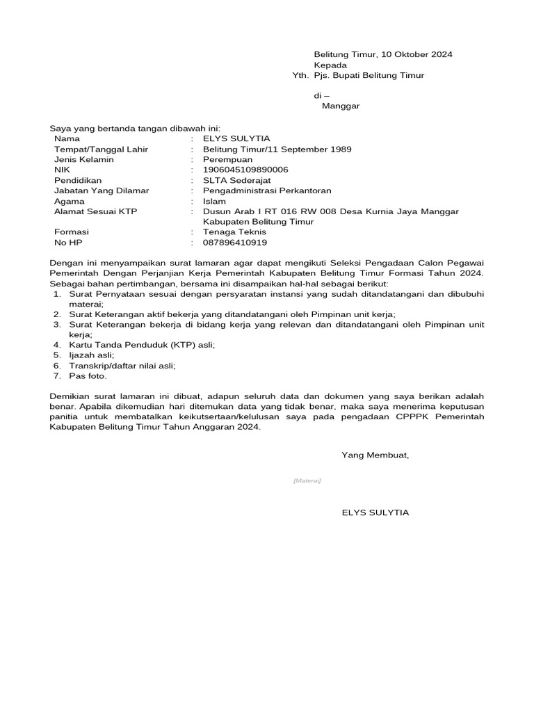 Elys - Format PPPK 2024 v241009 | PDF