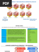 Escamas y Costras: Diagnóstico Dermatológico | PDF | Piel ...