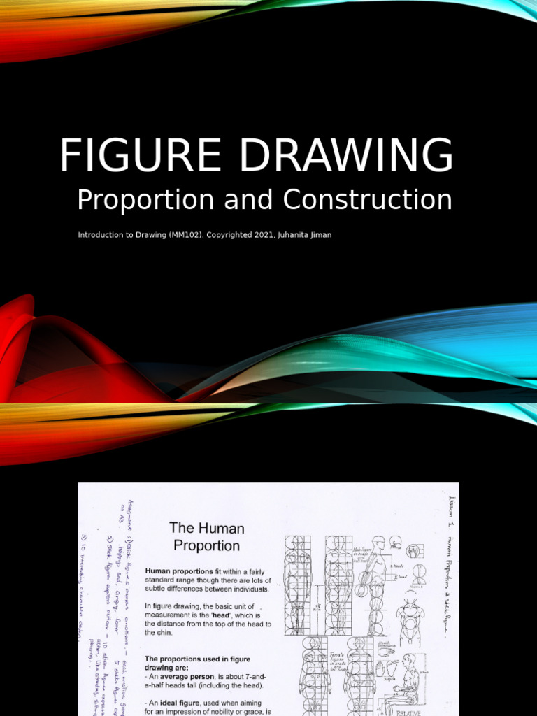 Lecture5 Figure Drawing Proportion and Construction - 150621 | PDF
