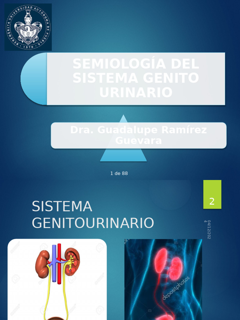 Semiología Del Sistema Genito Urinario | PDF | Labios | Vagina