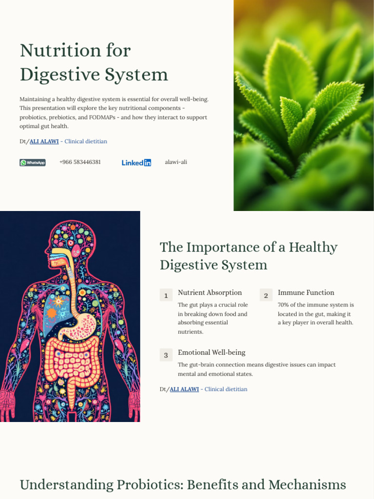 Nutrition For Digestive System | PDF | Probiotic | Gastrointestinal Tract
