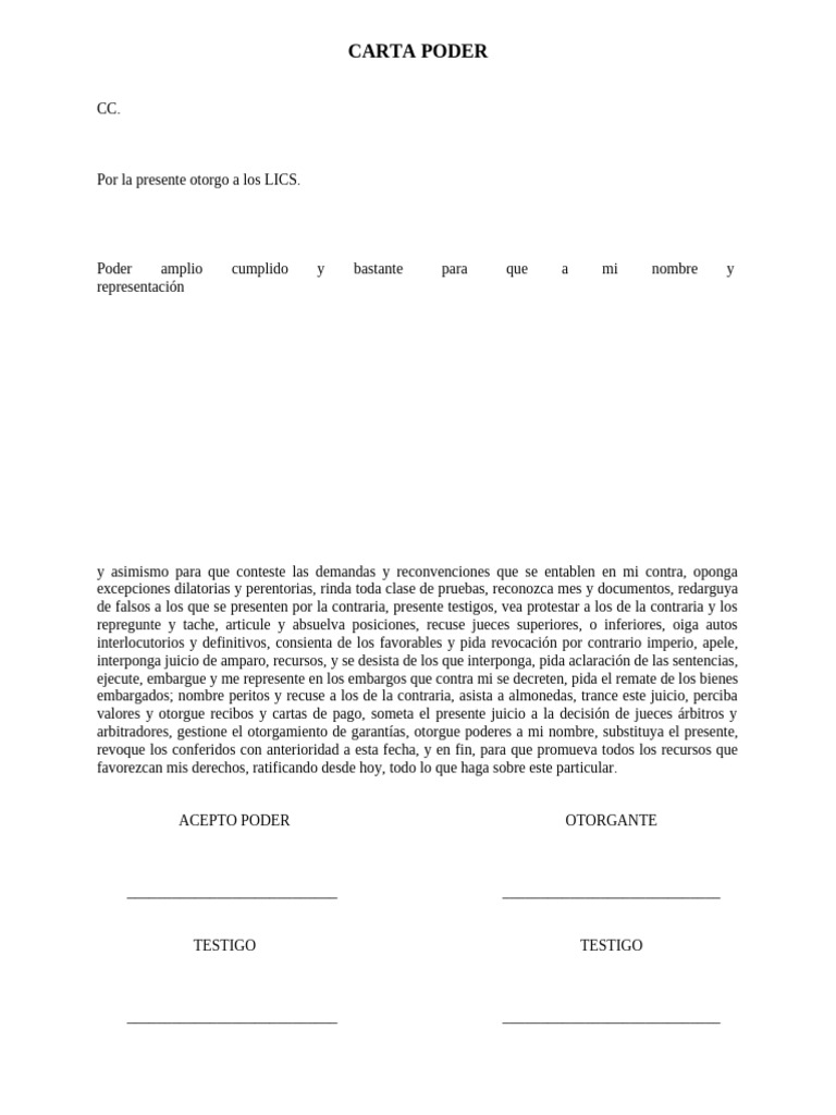 Carta Poder Formato Nuevo | PDF