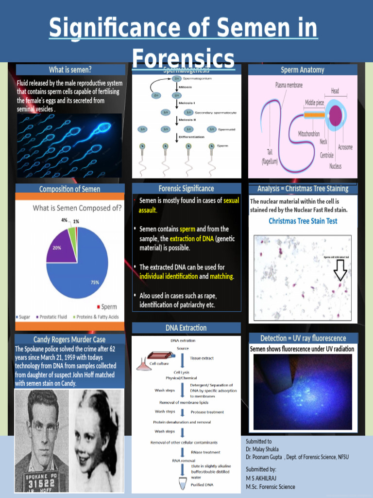 Semen Genigraphics Poster Template 48x48 | PDF | Sperm | Semen