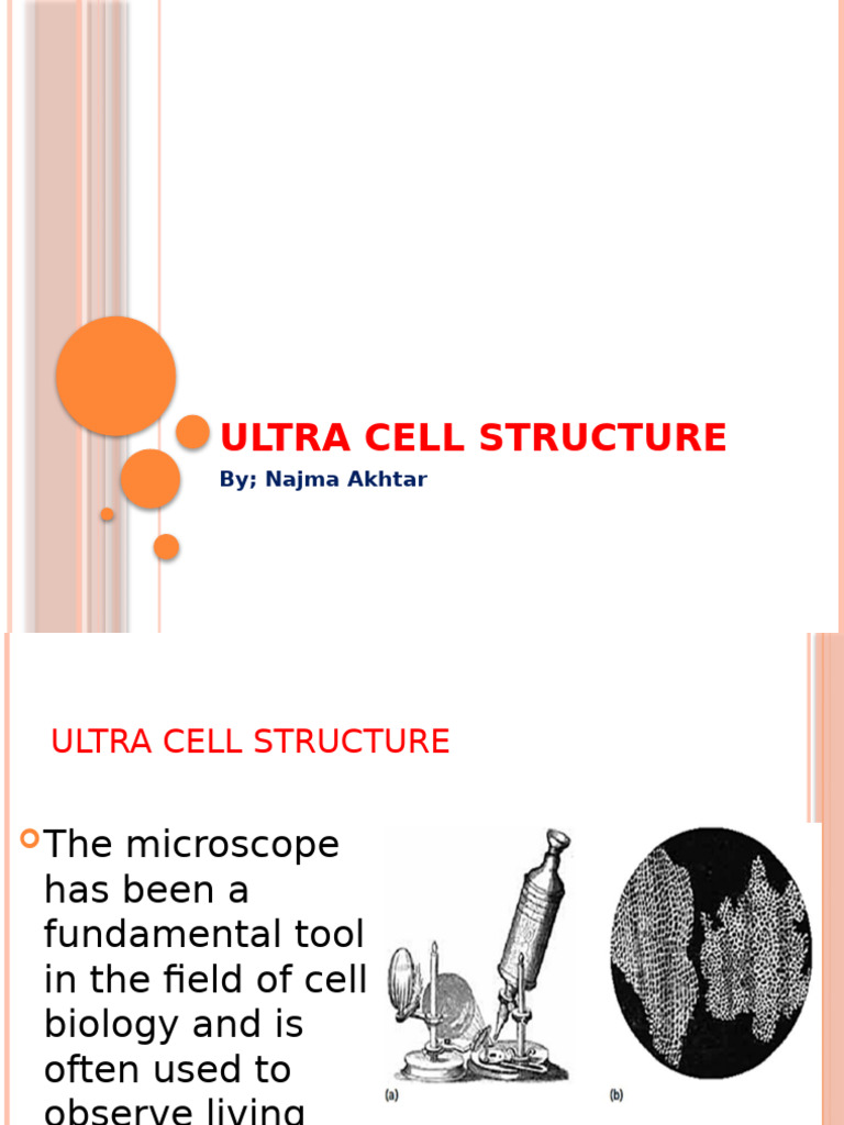 Ultra Cell Structure | PDF | Endoplasmic Reticulum | Cell (Biology)