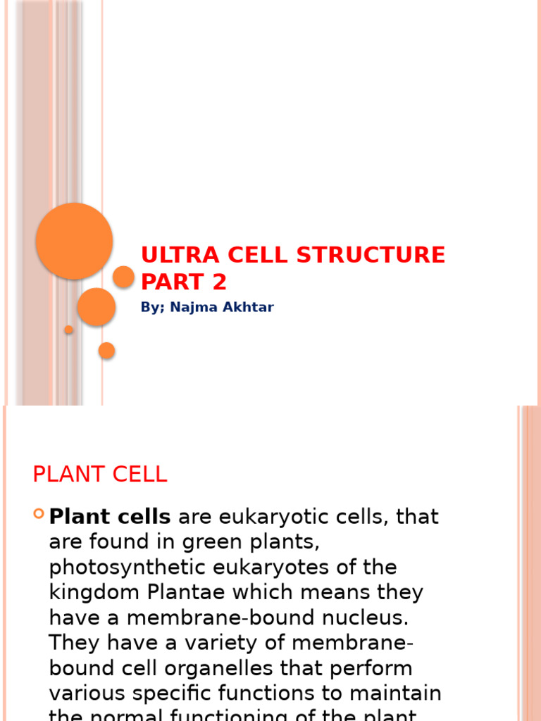 Ultra Cell Structure Part 2 | PDF | Chloroplast | Cell (Biology)