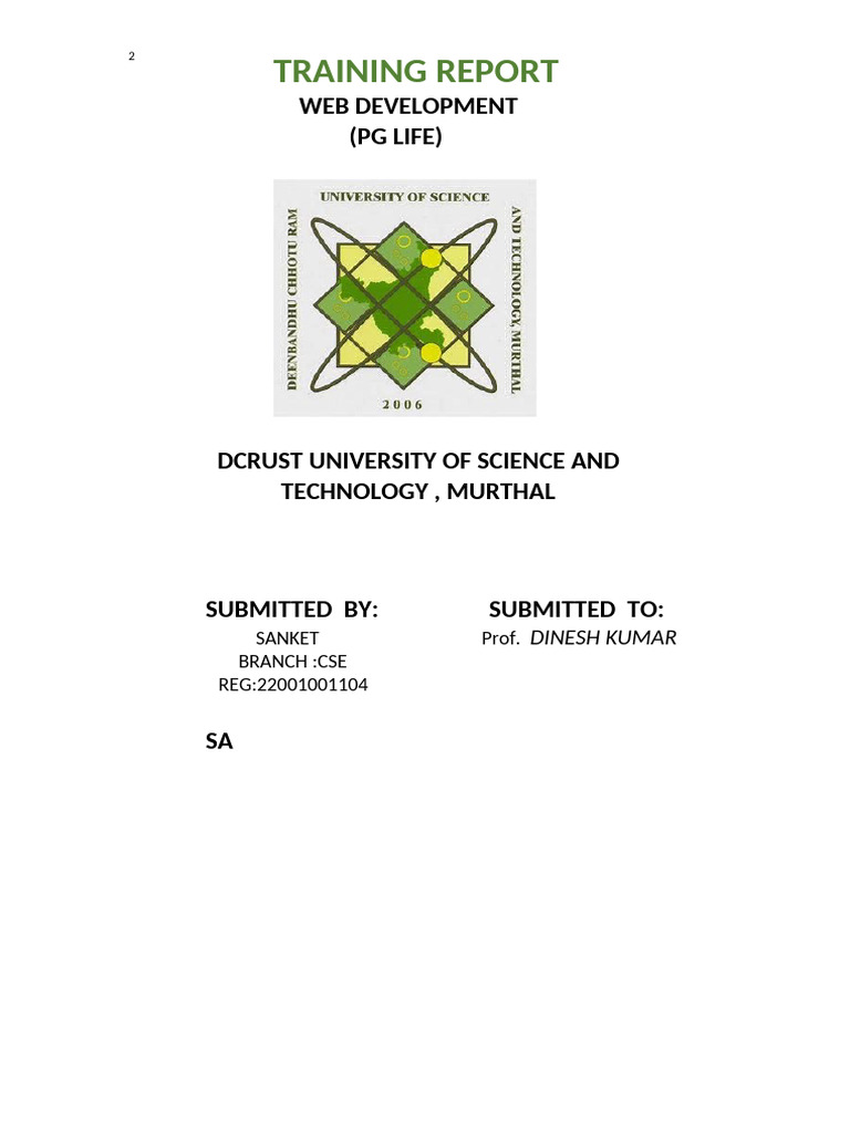 Web Dev Training Report | PDF