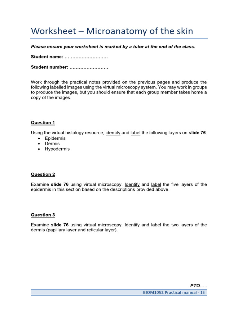 Microanatomy of Skin Guide | PDF