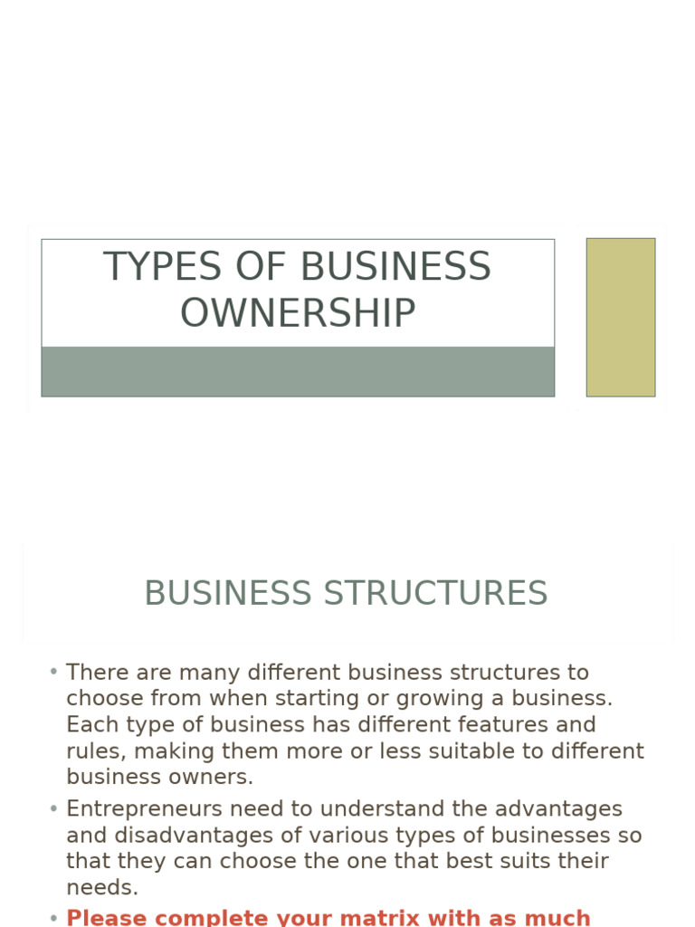 Types of Business Ownership | PDF | Franchising | Partnership