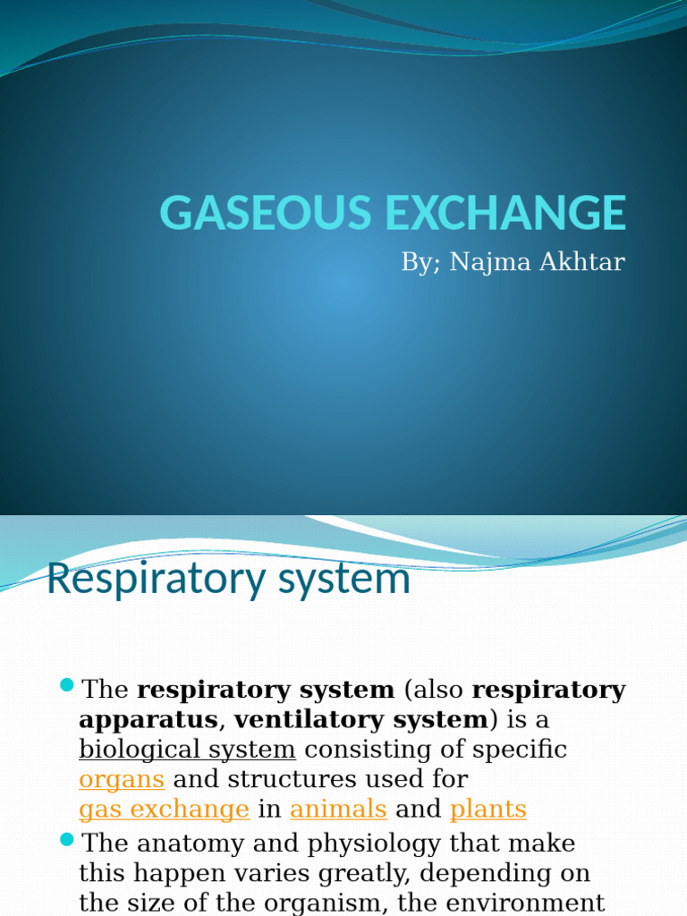 GASEOUS EXCHANGE | PDF | Respiratory Tract | Respiratory System