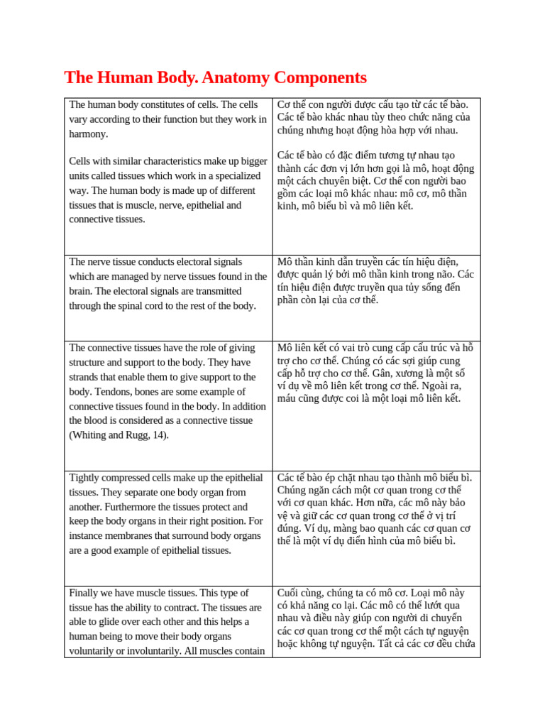 The Human Body - READING | PDF