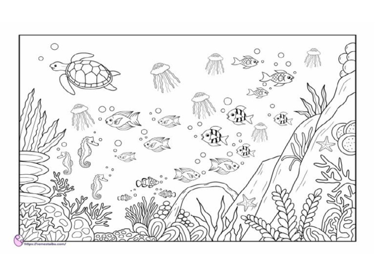 Gambar Biota Laut (1) | PDF