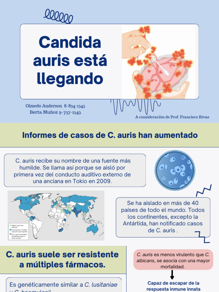Candida auris está llegando | PDF | Epidemiología | Medicina