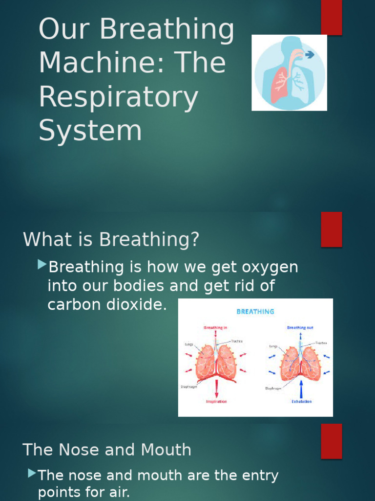 Our Breathing Machine | PDF