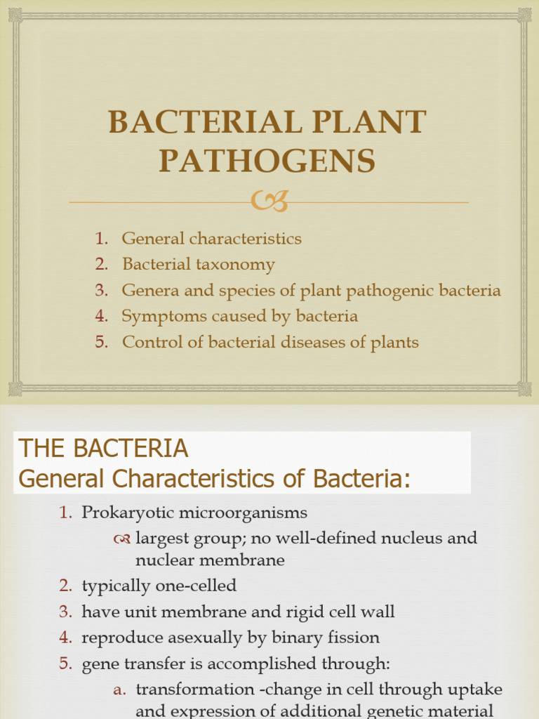 Bacterial Plant Pathogens Overview | PDF | Bacteria | Fungus