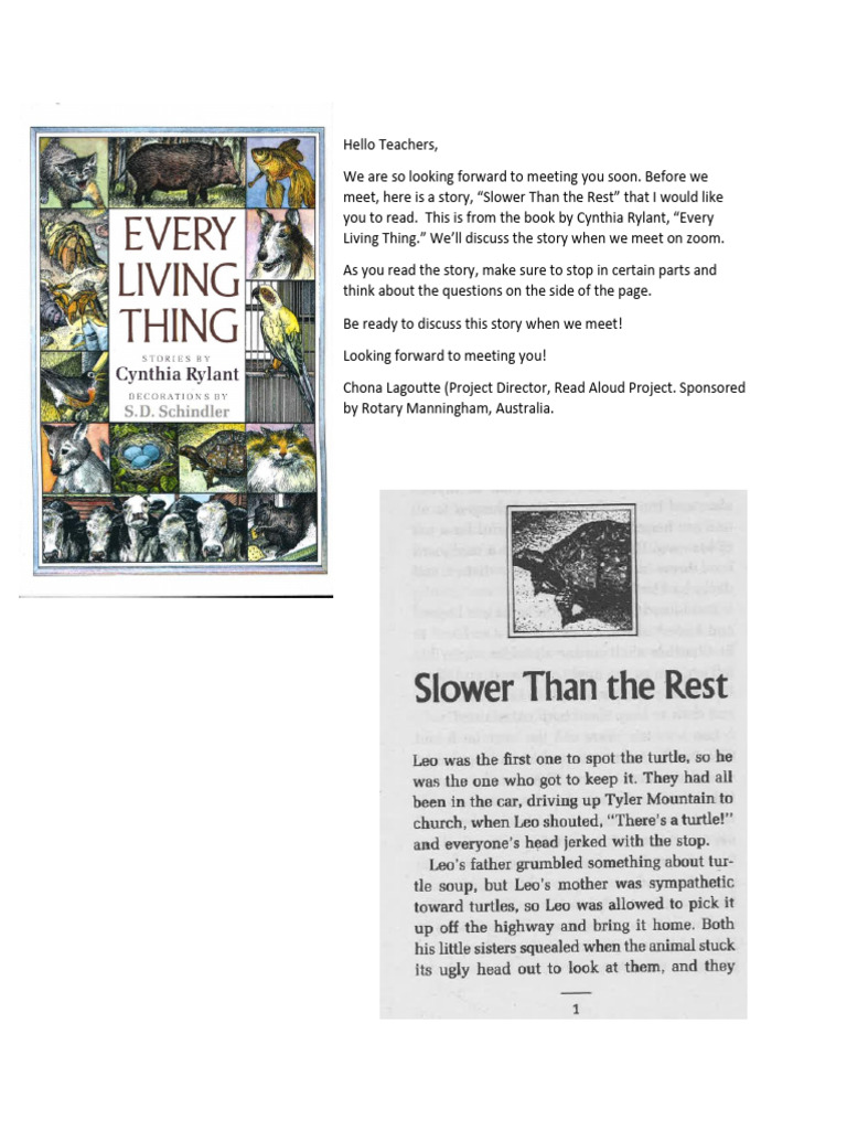 Slower Than The Rest For Teachers | PDF