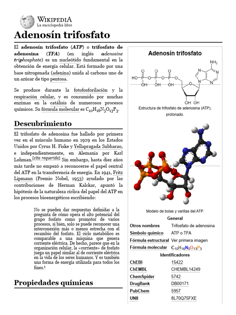 Adenosín Trifosfato | PDF | Trifosfato de adenosina | Ciclo del ácido cítrico