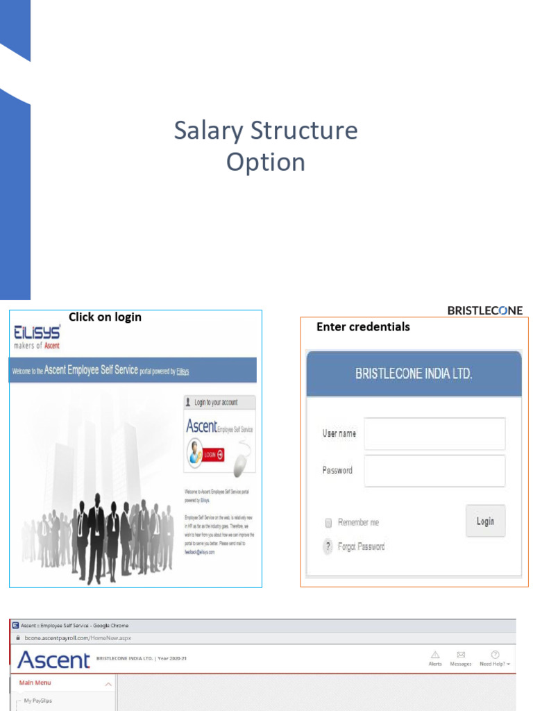 Step by Step Guide - Flexi Pay and Investment Declaration | PDF