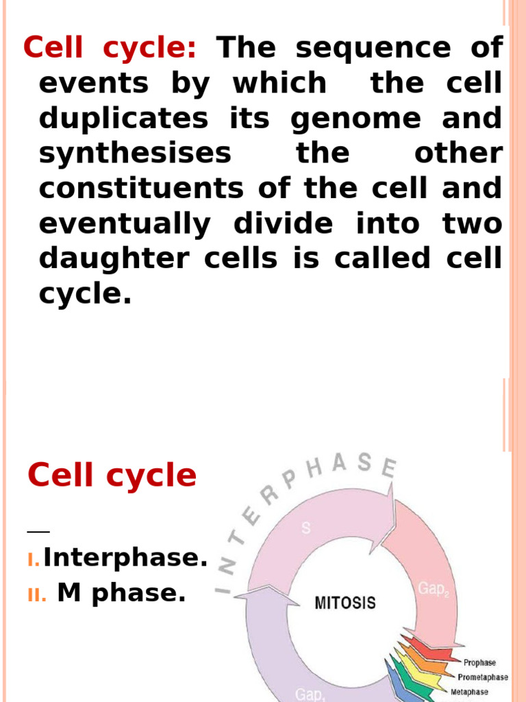 XI-10-Cell Cycle and Cell Division | PDF | Meiosis | Mitosis