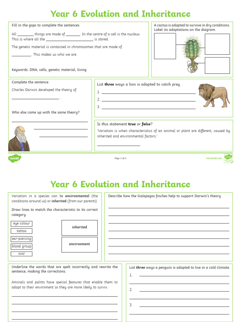 Year 6 Evolution and Inheritance Revision Activity Mat | PDF | Evolution | Heredity