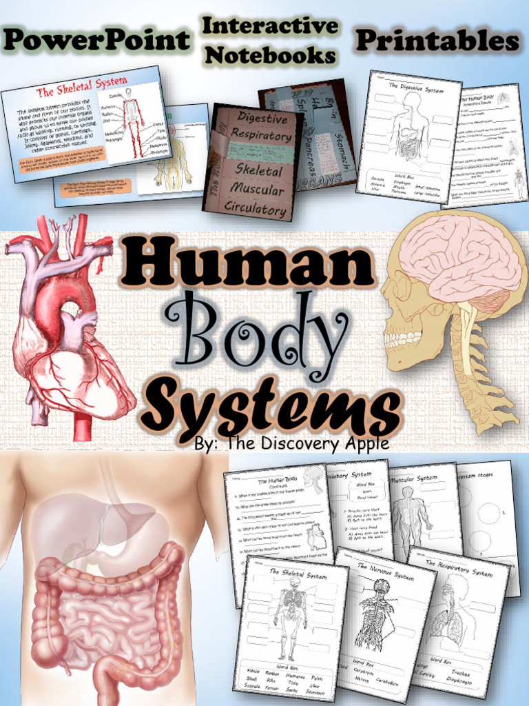 Science The Human Body | PDF | Human Body | Human Anatomy